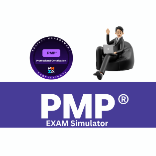 PMPsim2025_ | Pass PM